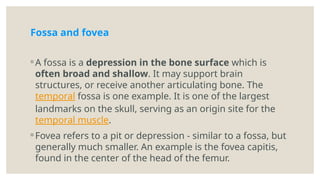BONY LANDMARKS Terminology of anatomy physiology | PPTX