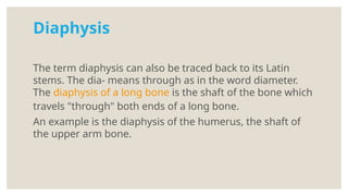 BONY LANDMARKS Terminology of anatomy physiology | PPTX