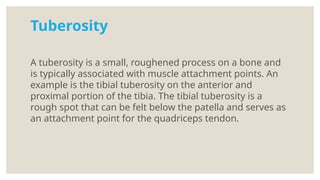 BONY LANDMARKS Terminology of anatomy physiology | PPTX