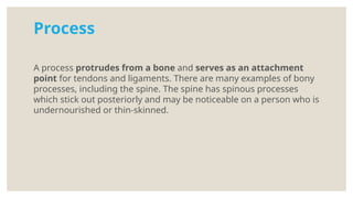 BONY LANDMARKS Terminology of anatomy physiology | PPTX