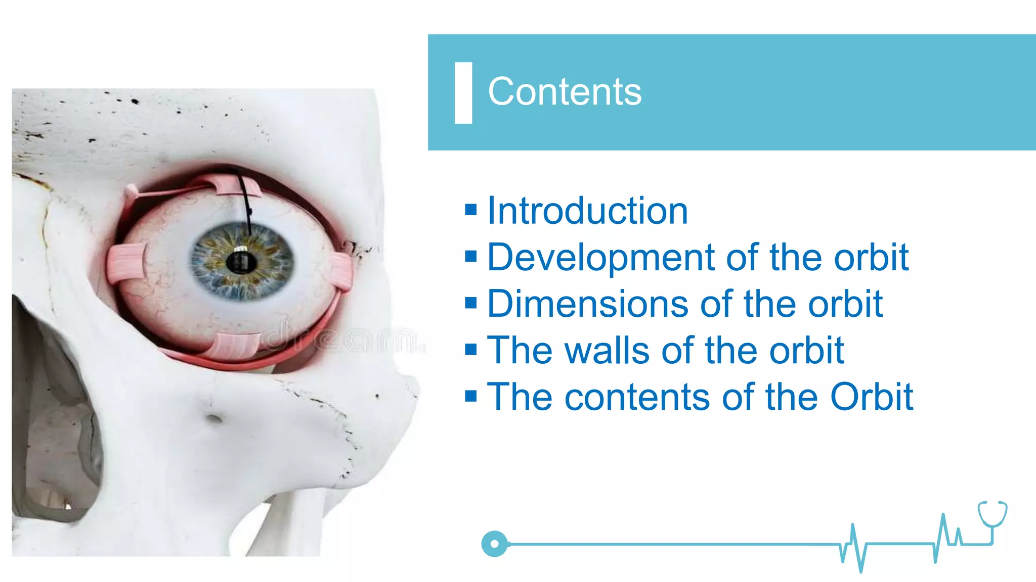 Anatomy Of The Bony Orbit Pptx