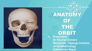 Anatomy of the Bony orbit | PPTX