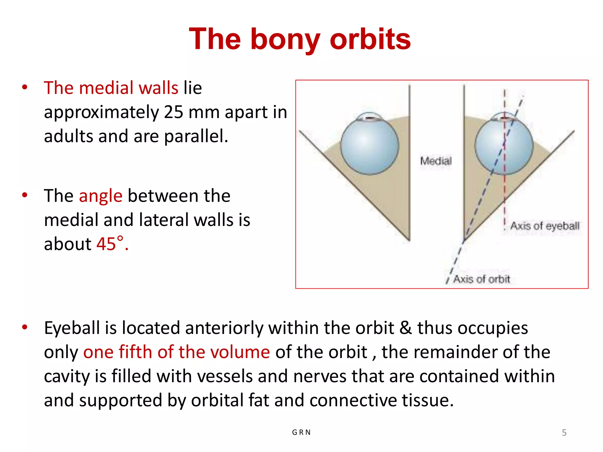 Bony orbit | PDF