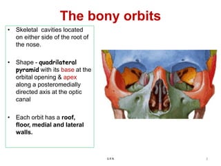 Bony orbit | PDF