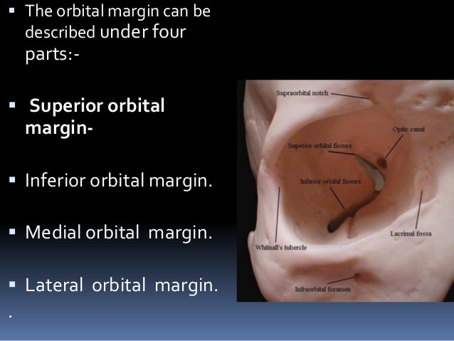 Bony orbit and its contents