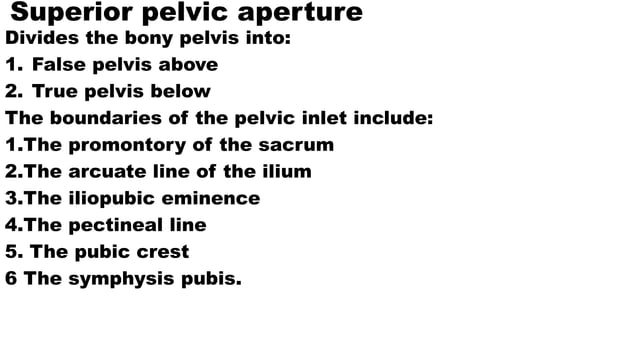 Bony pelvis, fascia and ligaments.pptx