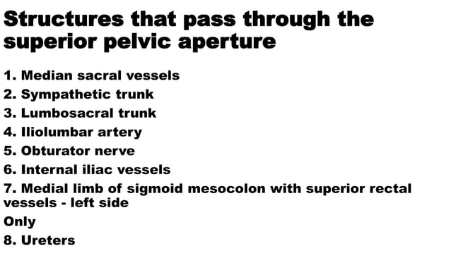 Bony pelvis, fascia and ligaments.pptx