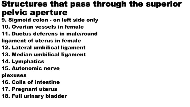 Bony pelvis, fascia and ligaments.pptx