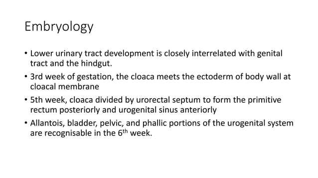 Bladder outlet obstruction in children | PPTX