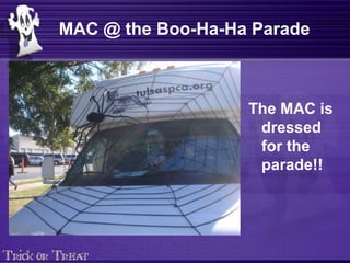 Boo ha ha parade | PPT | Cats | Pets