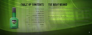 Brut Sales Strategies | PDF