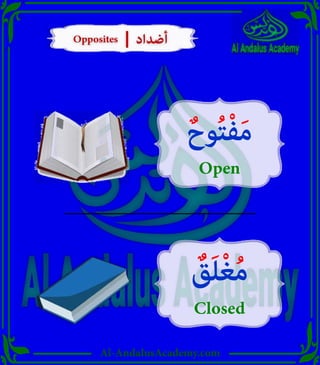 Arabic vocabularies - Book | PDF