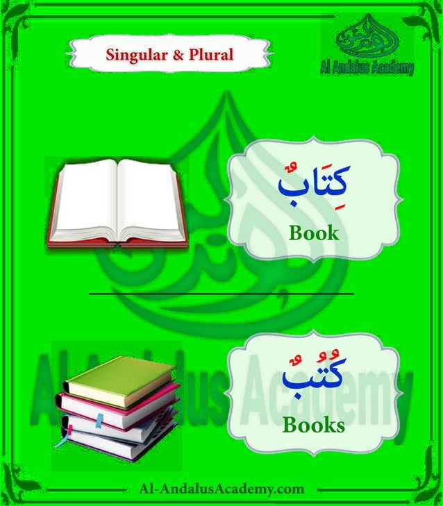 Arabic vocabularies - Book | PDF