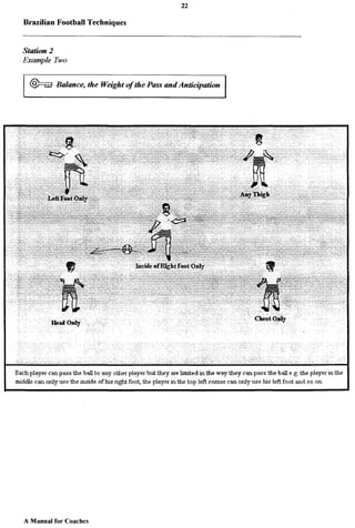 Book brazilian techniques | PDF