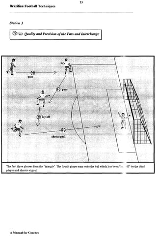 Book brazilian techniques | PDF