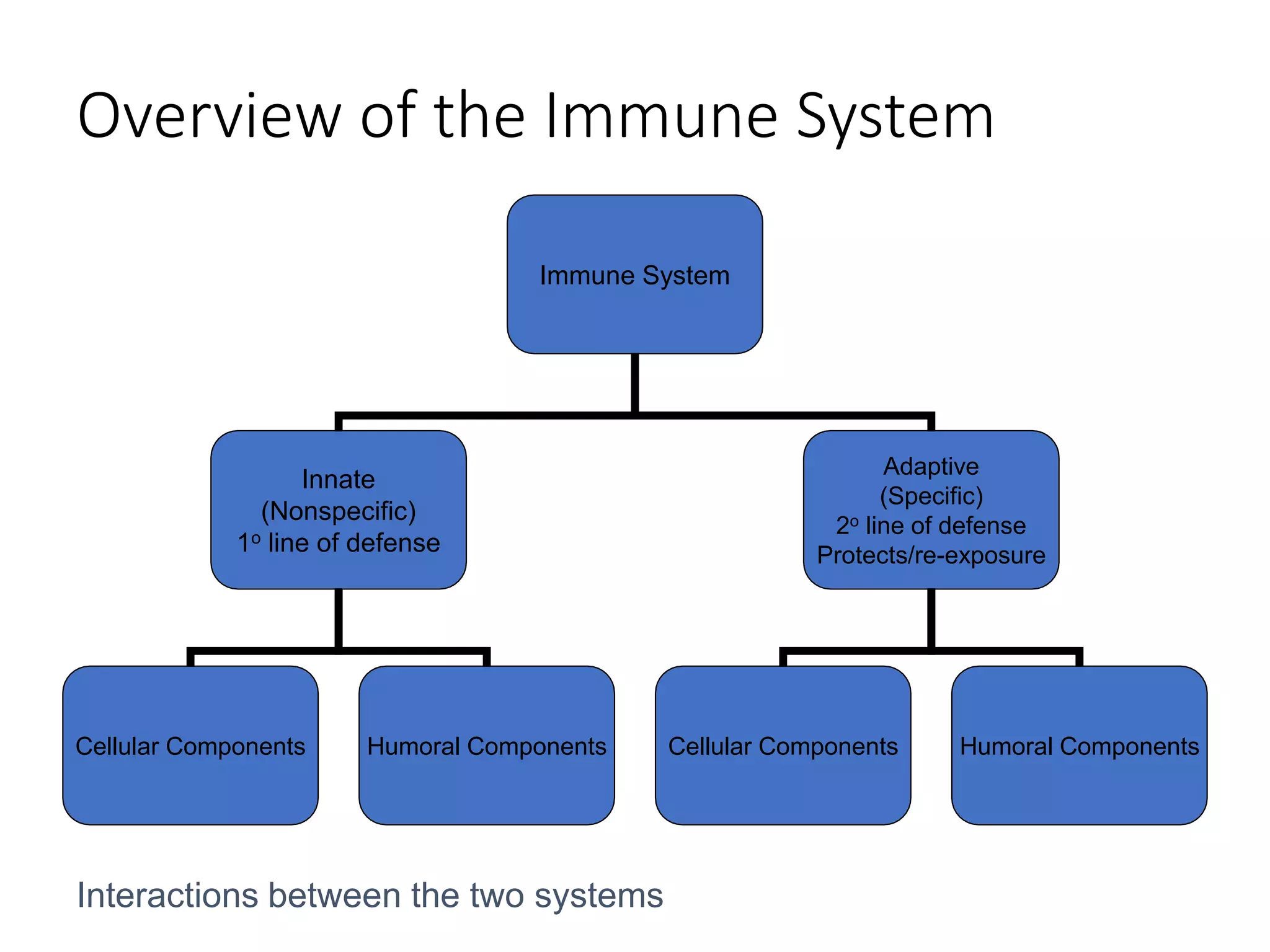 Immune system | PDF