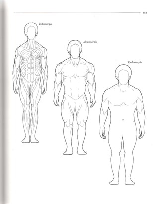 Apollonian Physique