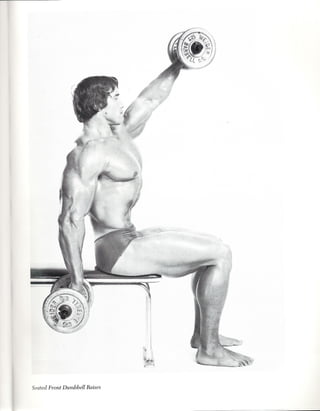 Book 3 2 Shoulder Exercises | PDF