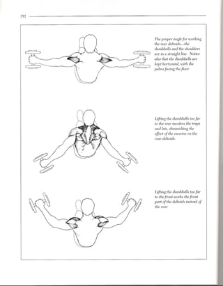 Book 3 2 Shoulder Exercises | PDF