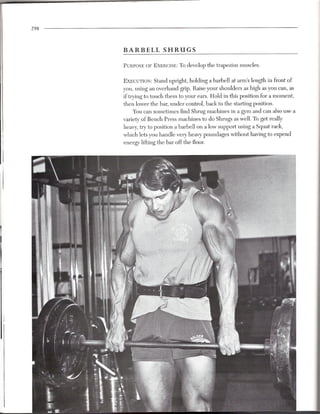 Book 3 2 Shoulder Exercises | PDF