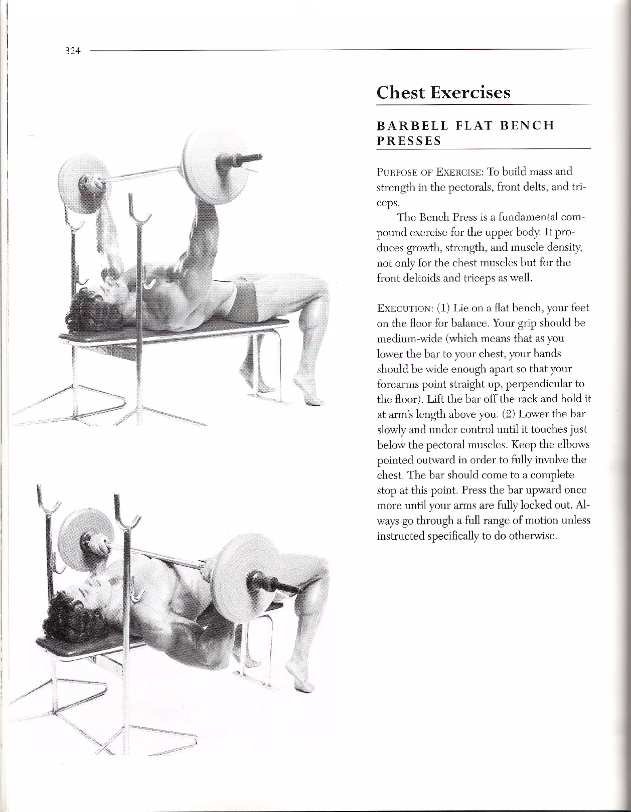 Book 3 4 Chest Exercises | PDF