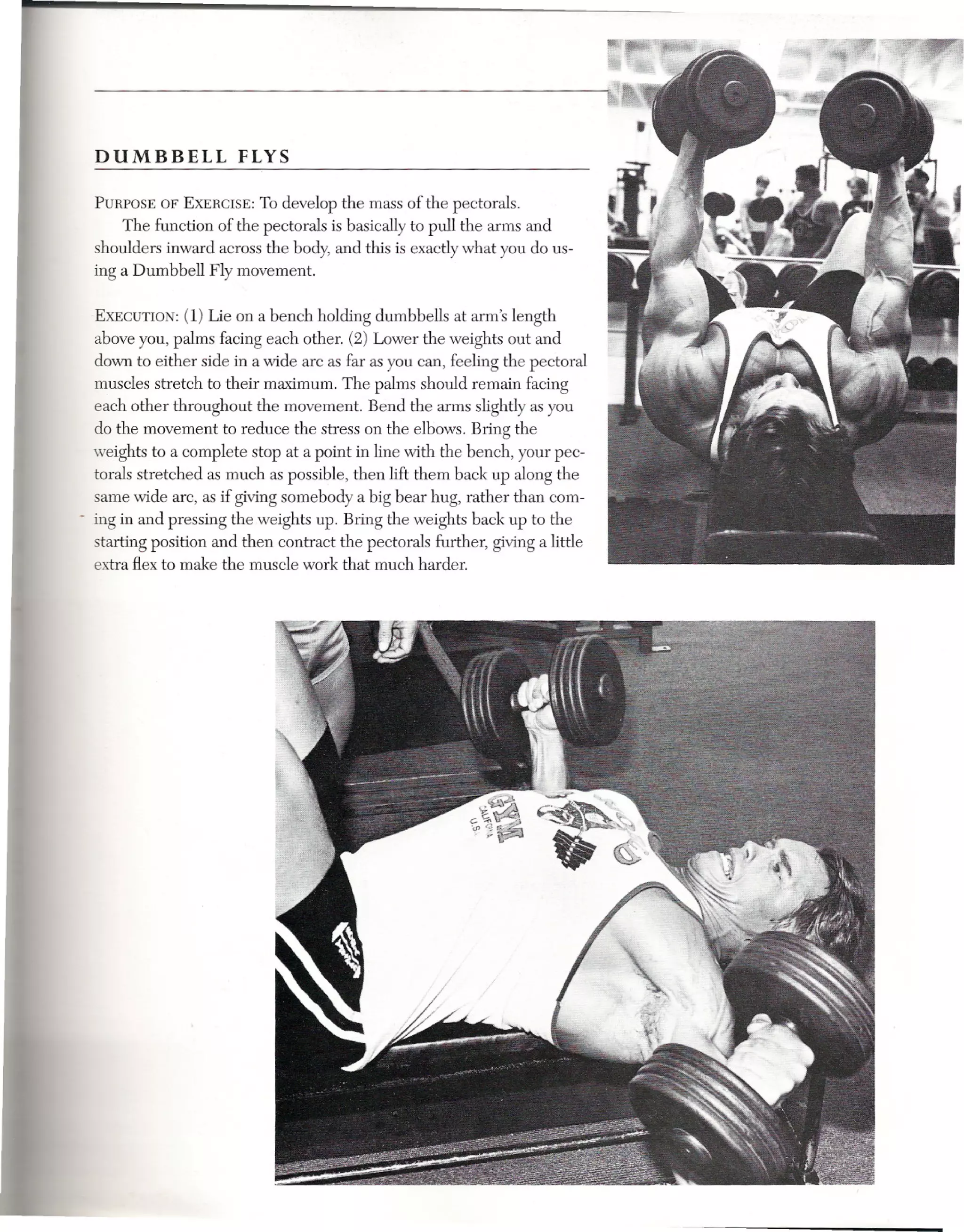 Book 3 4 Chest Exercises | PDF
