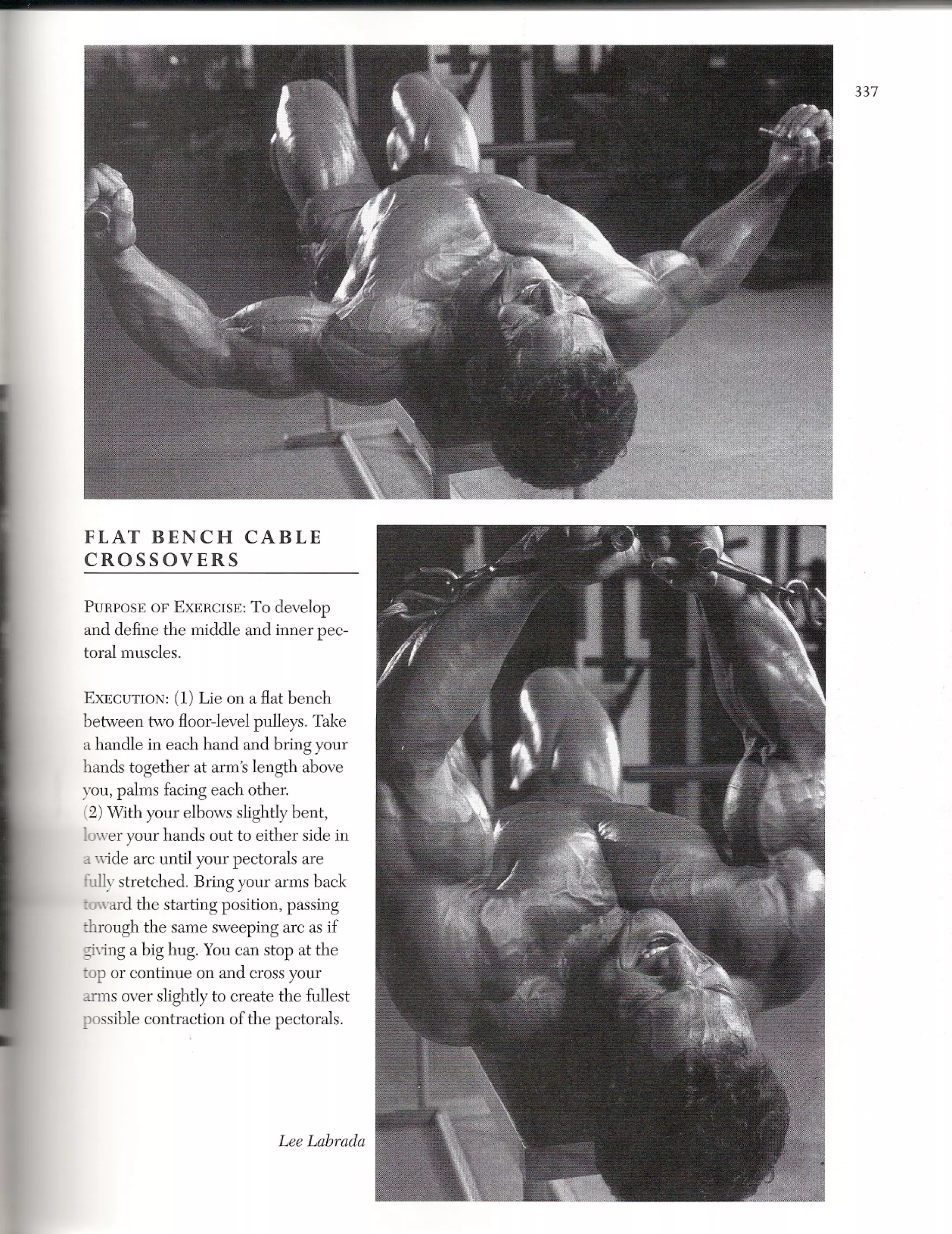 Book 3 4 Chest Exercises | PDF