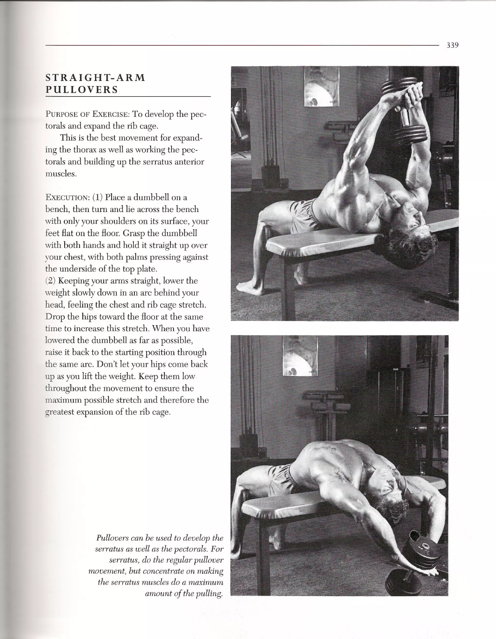 Book 3 4 Chest Exercises | PDF