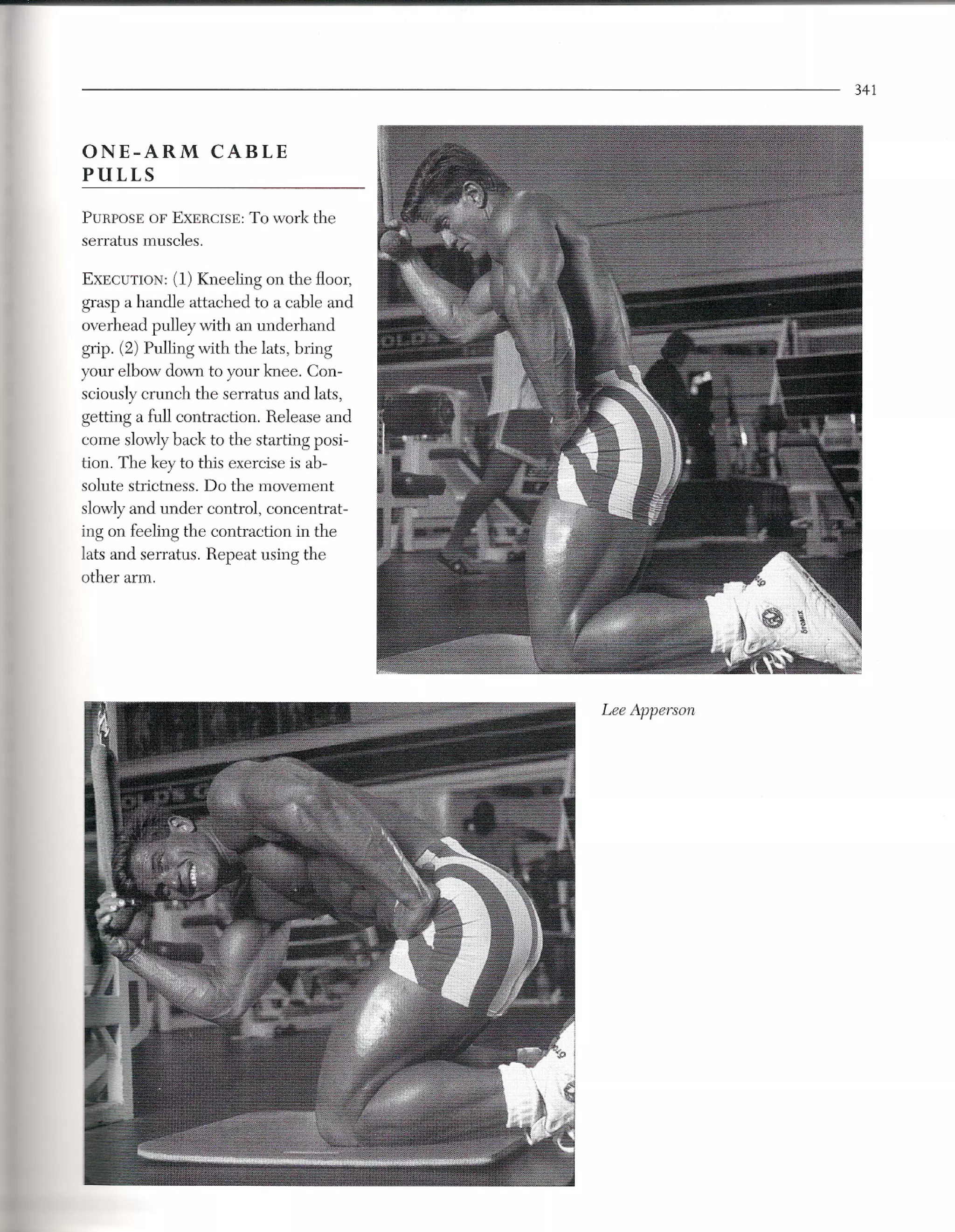 Book 3 4 Chest Exercises | PDF