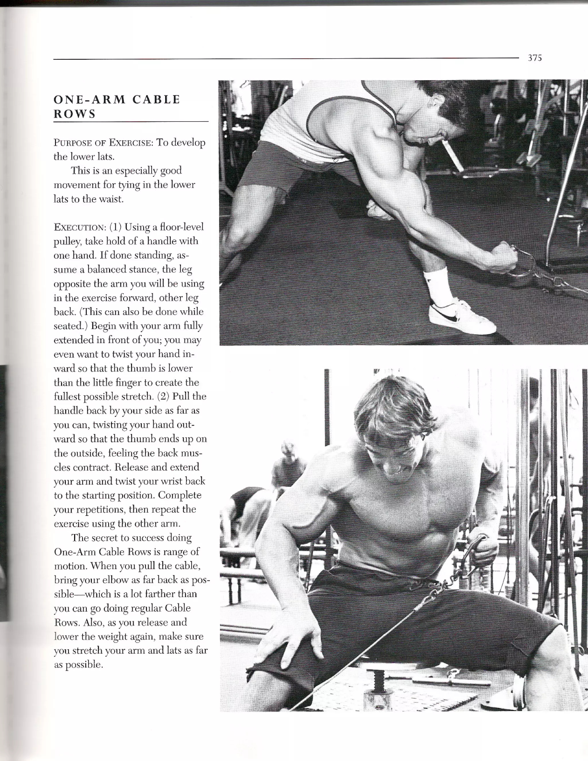 Book 3 6 Back Exercises | PDF