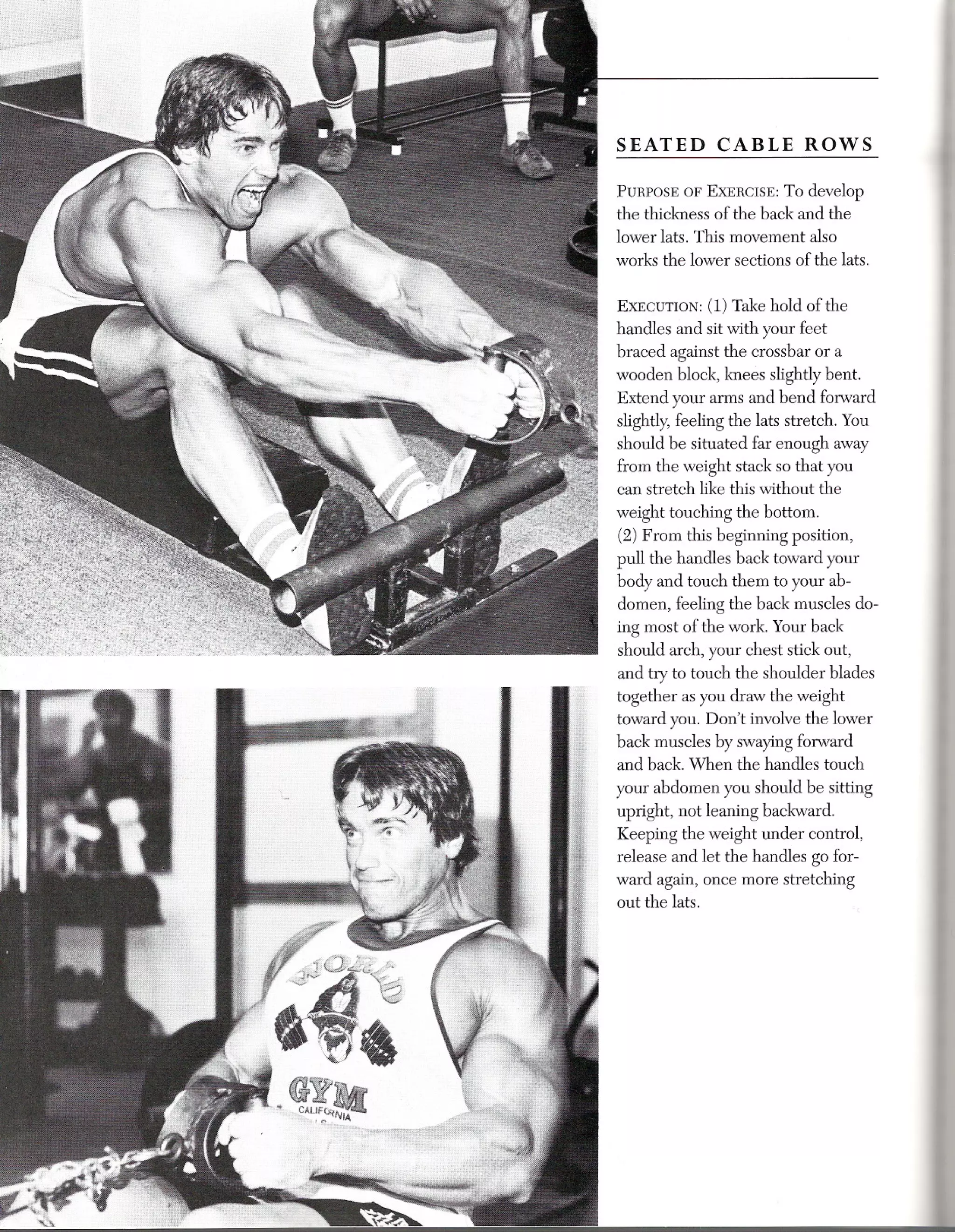 Book 3 6 Back Exercises | PDF