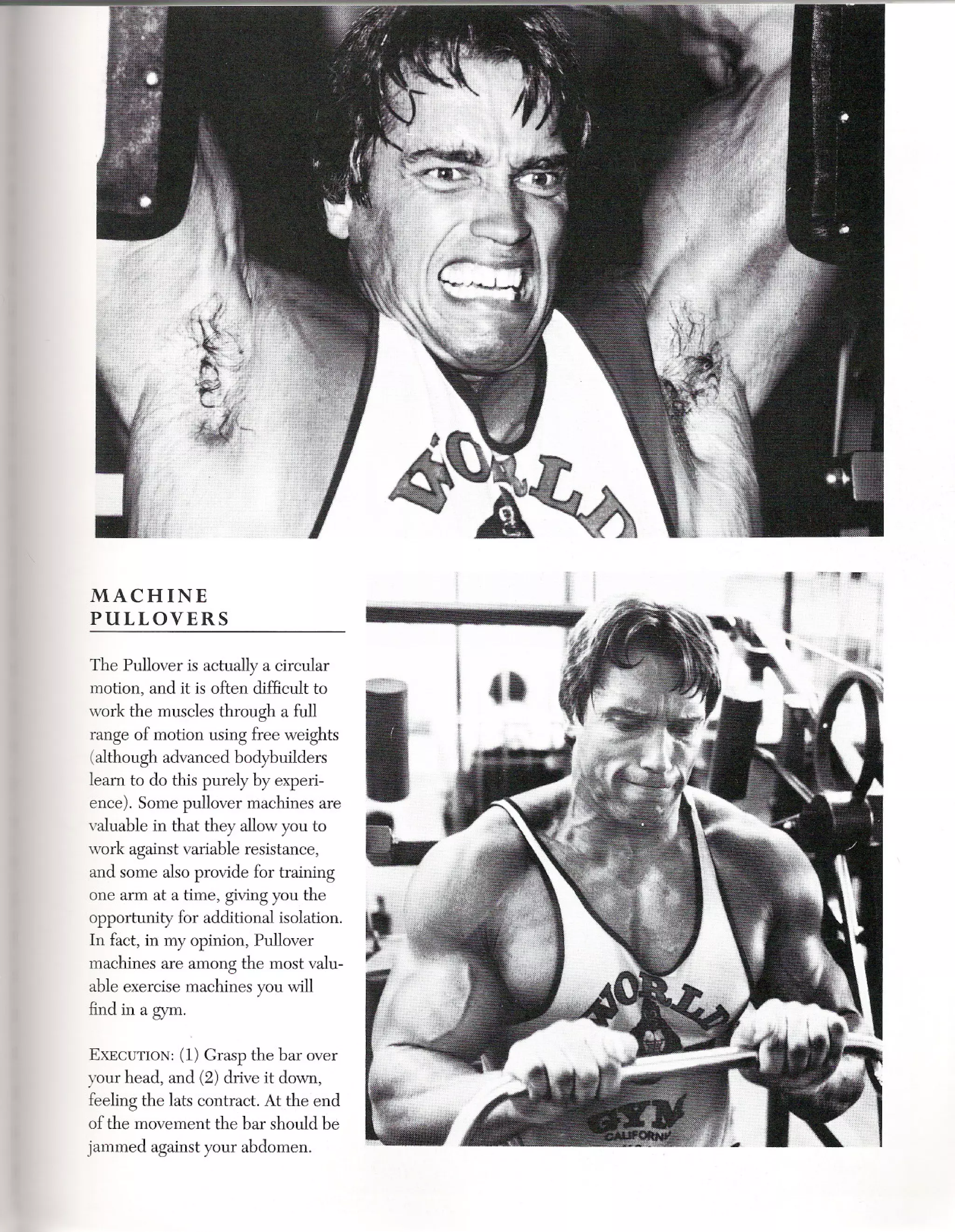 Book 3 6 Back Exercises | PDF