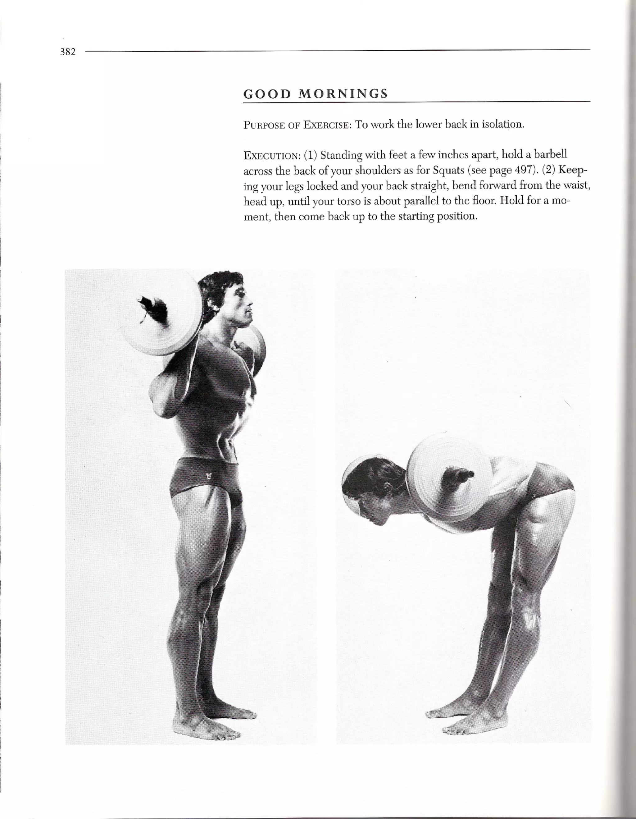 Book 3 6 Back Exercises | PDF