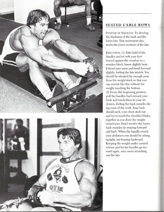 Book 3 6 Back Exercises | PDF