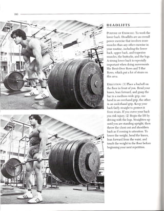 Book 3 6 Back Exercises | PDF