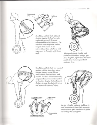 Book 3 6 Back Exercises | PDF