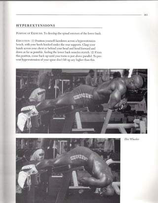 Book 3 6 Back Exercises | PDF