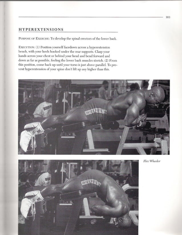 Book 3 6 Back Exercises | PDF