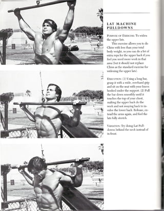 Book 3 6 Back Exercises | PDF