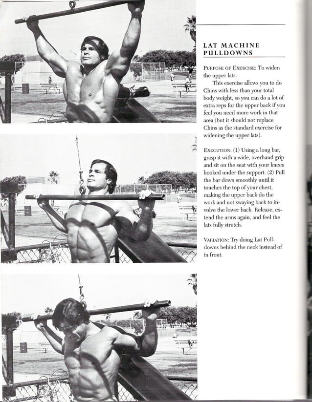 Book 3 6 Back Exercises | PDF