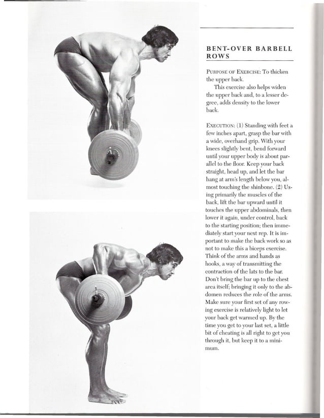 Book 3 6 Back Exercises | PDF