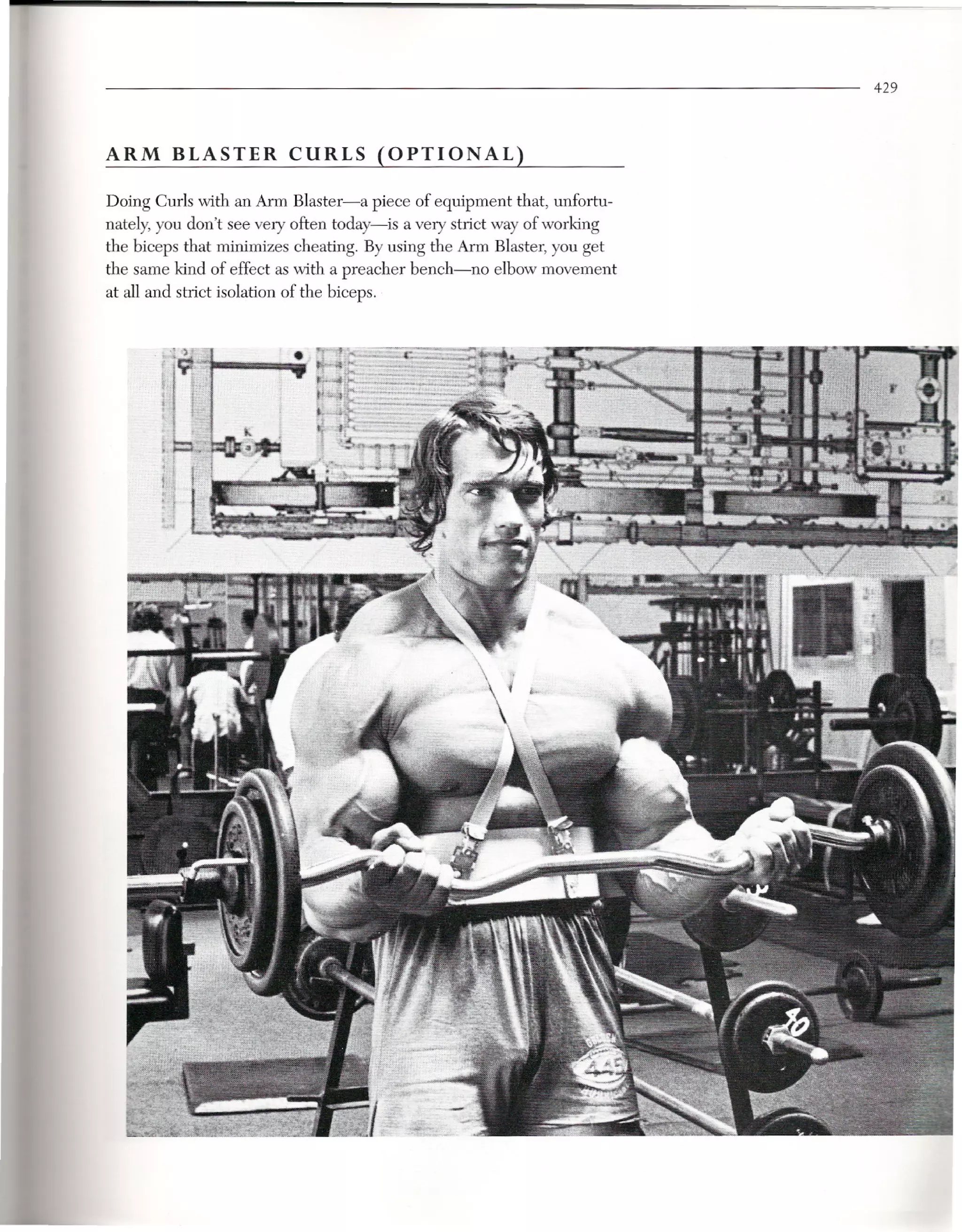 Book 3 8 1 Bicep Exercises | PDF