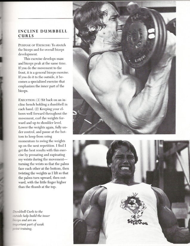 Book 3 8 1 Bicep Exercises | PDF