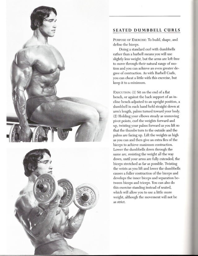 Book 3 8 1 Bicep Exercises | PDF