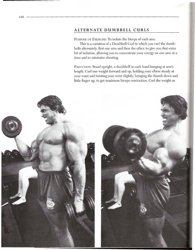 Book 3 8 1 Bicep Exercises | PDF