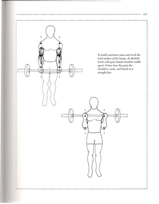 Book 3 8 1 Bicep Exercises | PDF