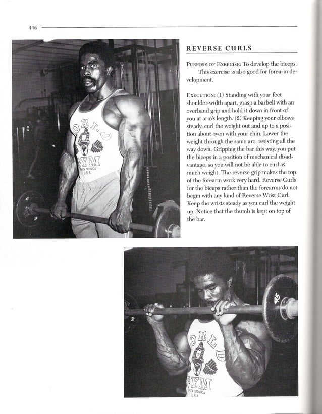 Book 3 8 1 Bicep Exercises | PDF