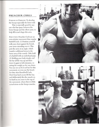 Book 3 8 1 Bicep Exercises | PDF