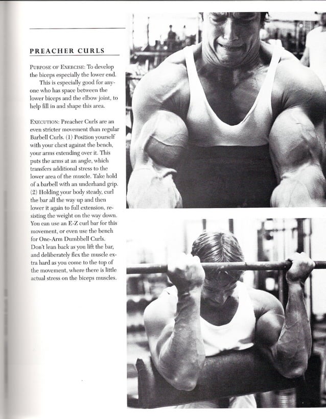 Book 3 8 1 Bicep Exercises | PDF