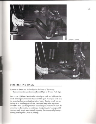 Book 3 8 2 Tricep Exercises | PDF